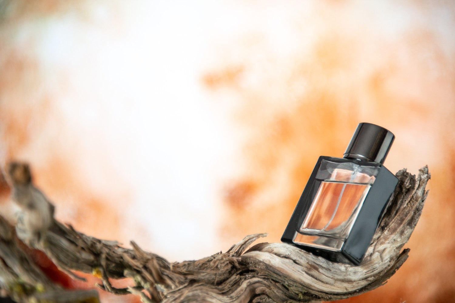 Oud Perfumes and Fragrances: The Emerging Trend in the UK